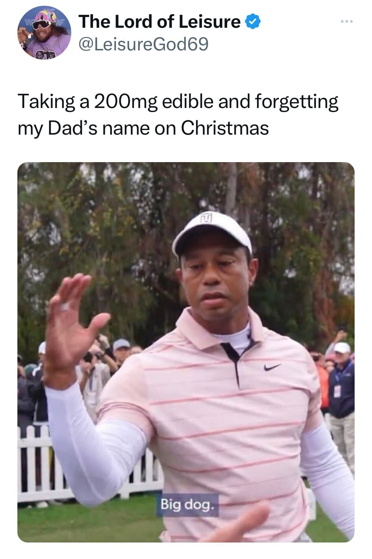 ⛳️ New meme, big dog. - Plus: Lowry calls out Rahm. – Caddyshanks
